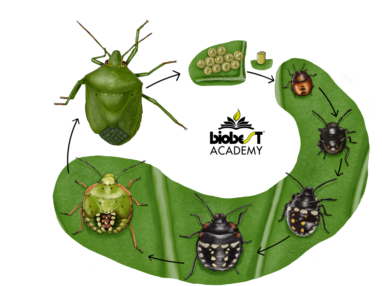 IPM e-learning courses – Biobest Academy